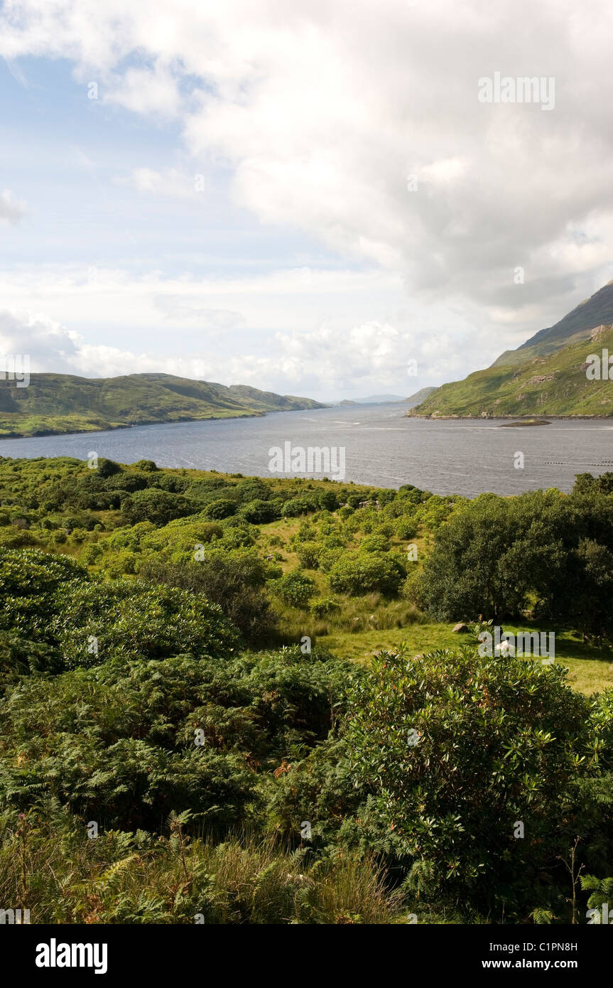 Killary Fjord And Ireland High Resolution Stock Photography and Images ...