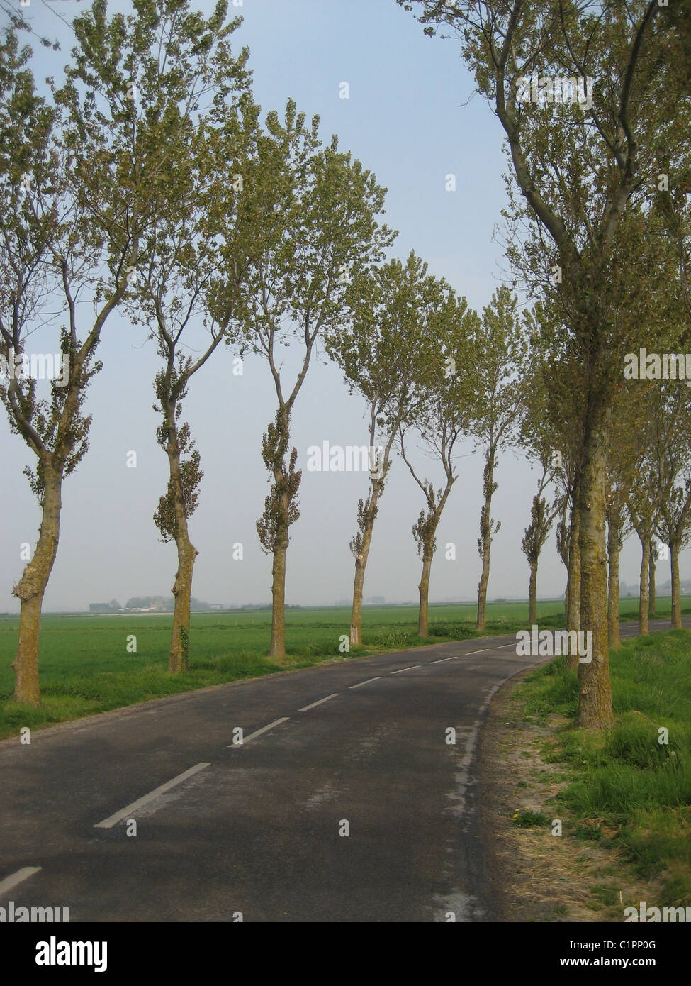 Rural countryside road in france hi-res stock photography and images ...