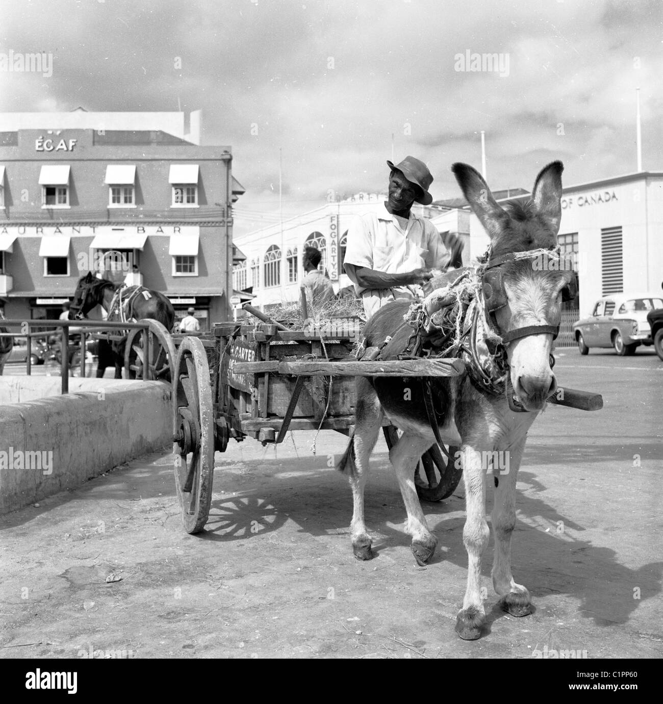 1950s. Historical picture by J Allan Cash of Man asleep in his pony and ...