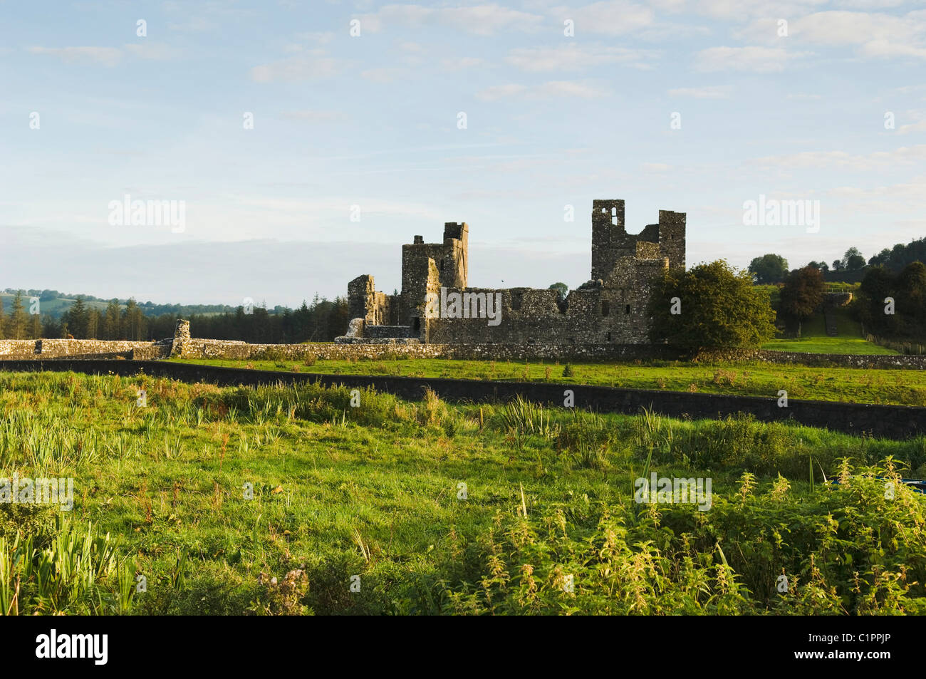 Fore Abbey High Resolution Stock Photography and Images - Alamy