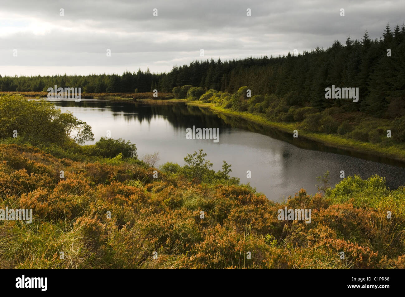 Fermanagh Ireland Stock Photos & Fermanagh Ireland Stock Images - Alamy