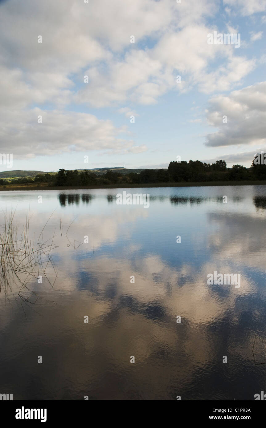 Northern Ireland, Fermanagh, Lakelands, Lower Lough Erne Stock Photo ...