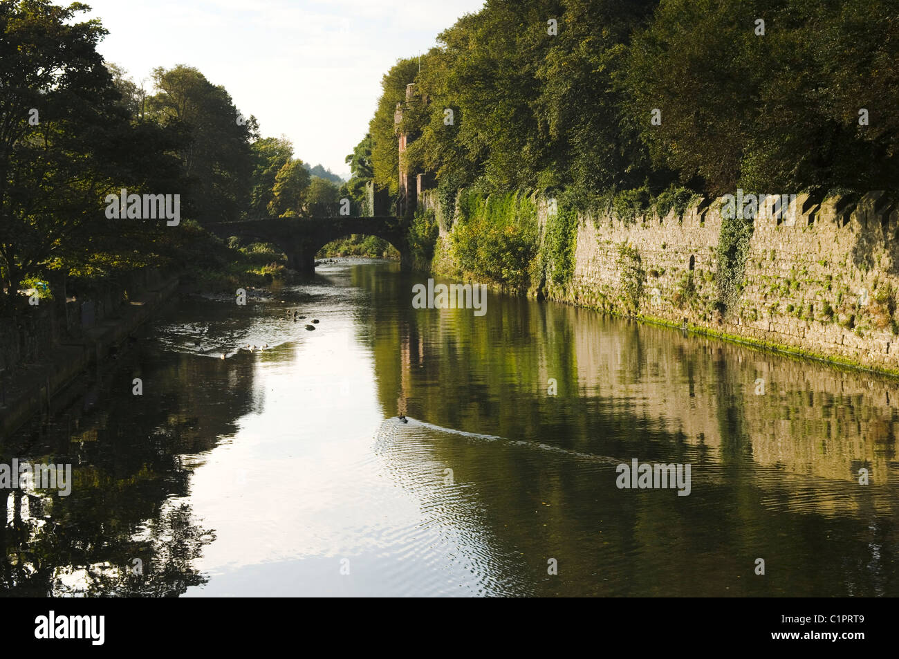 Causeway coast glenarm river hi-res stock photography and images - Alamy