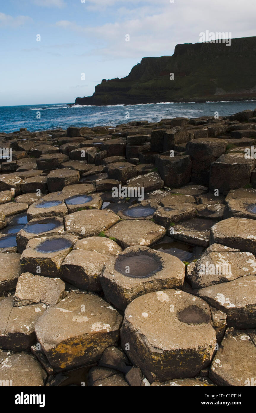 Northern Ireland, Giant's Causeway basalt columns on coastline Stock ...