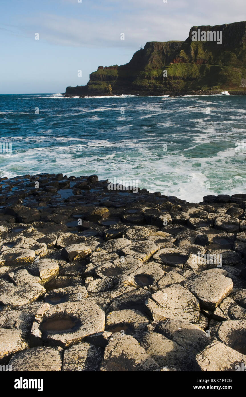 Northern Ireland, Giant's Causeway basalt columns on coastline Stock ...