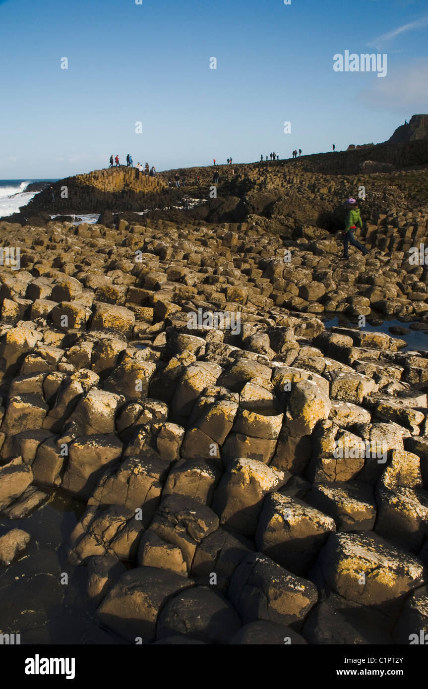 Northern Ireland, Giant's Causeway basalt columns on coastline Stock ...