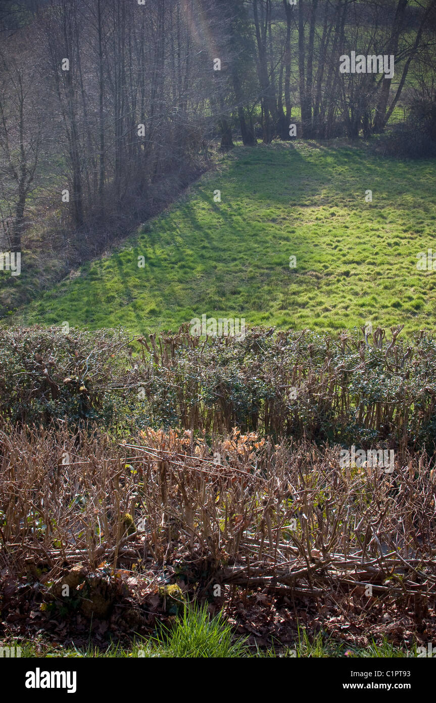 Pastures hi-res stock photography and images - Alamy