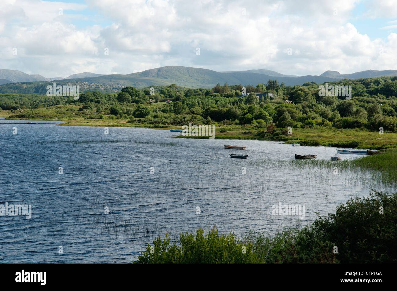 Lake caragh forest hi-res stock photography and images - Alamy