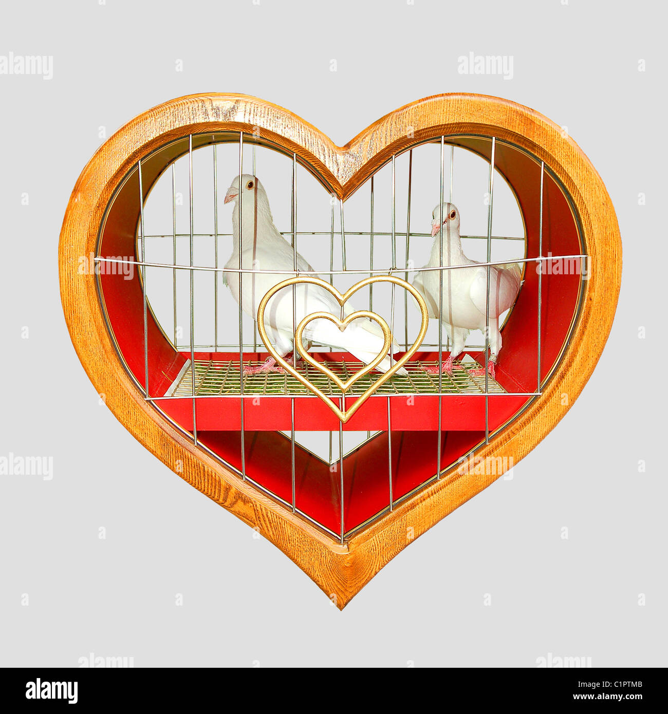 pigeons and heart in grey background Stock Photo - Alamy