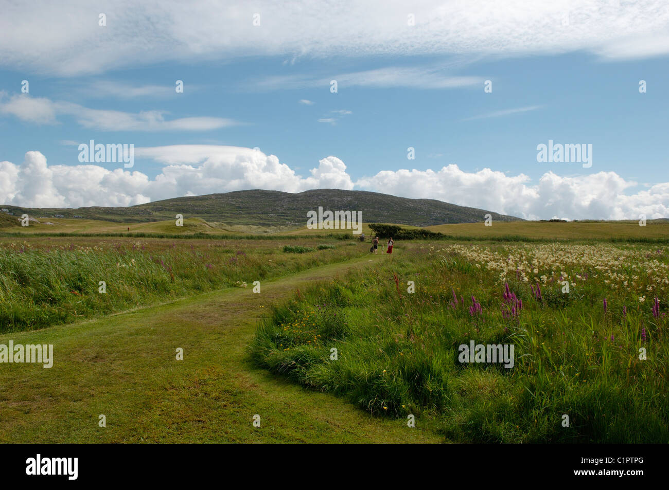 Republic of Ireland, County Kerry, Iveragh Peninsula, Derrynane ...