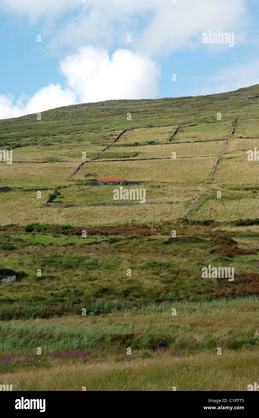 Field hill hi-res stock photography and images - Alamy