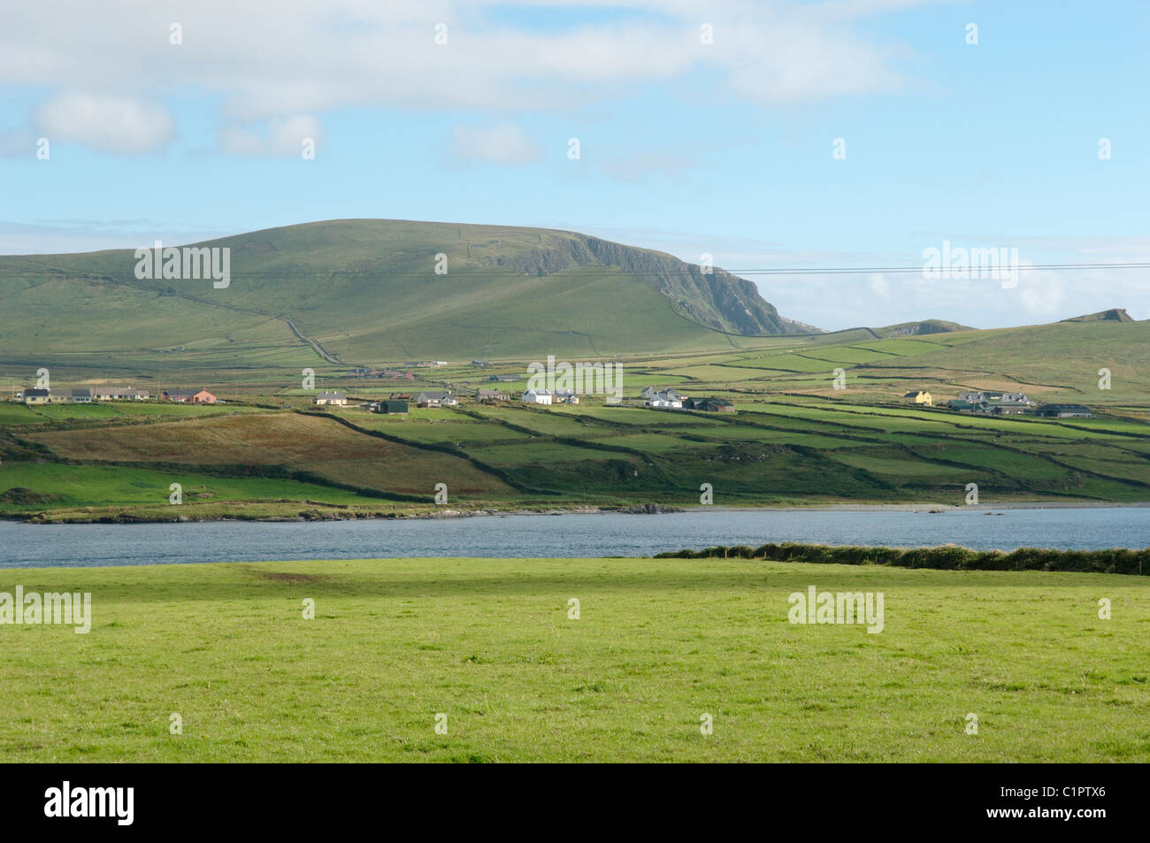 Republic of Ireland, Iveragh Peninsula, Valentia Island, Bray Head ...