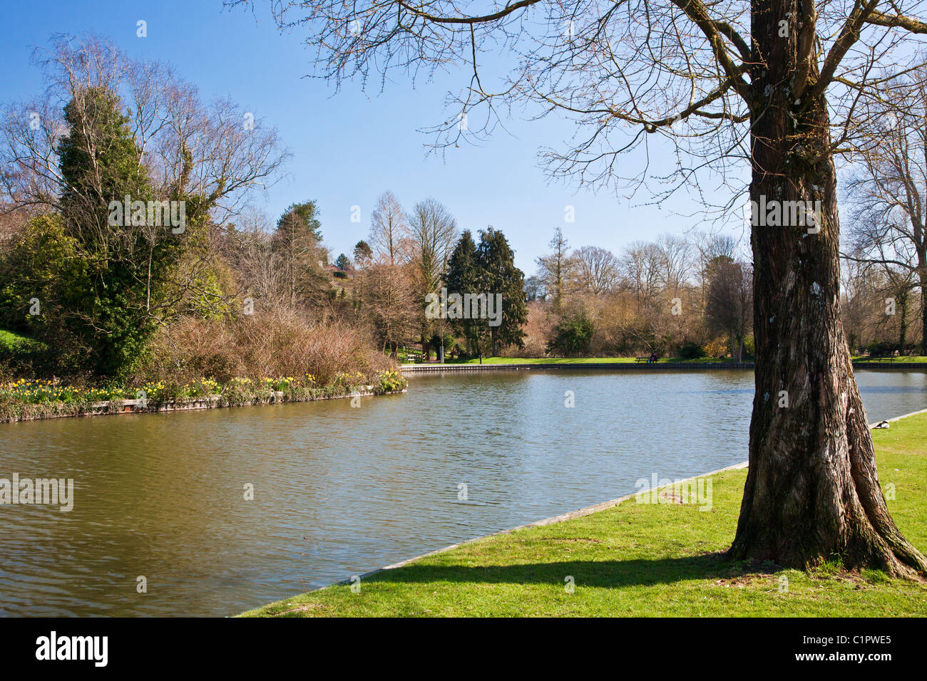 Warminster england hi-res stock photography and images - Alamy