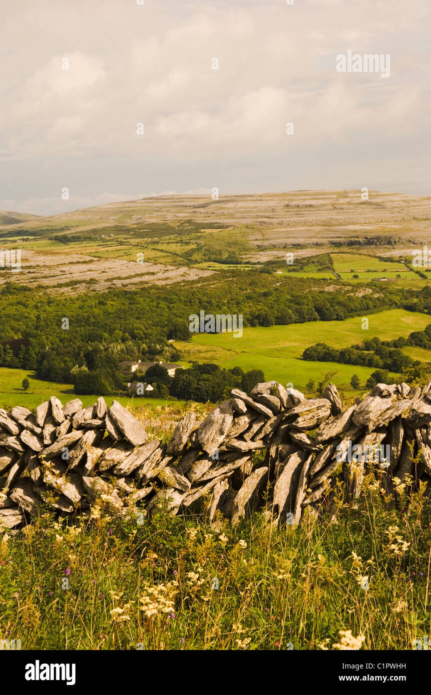 Republic of Ireland, The Burren, stone wall overlooking countryside ...