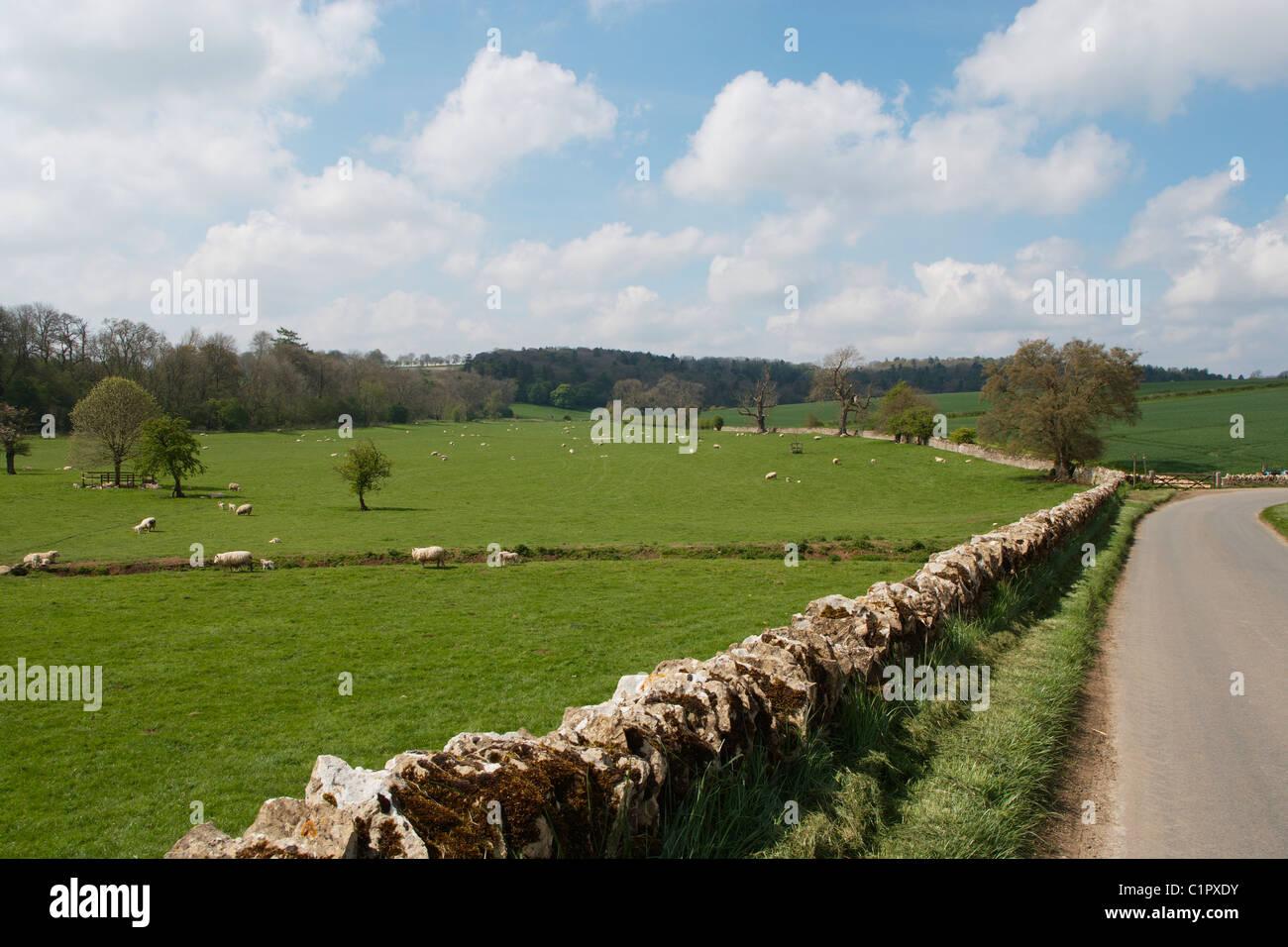 Wall lane hi-res stock photography and images - Alamy