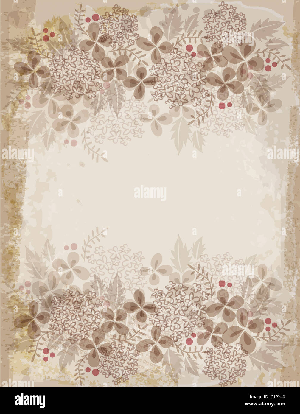 vintage style frame collection Stock Photo - Alamy