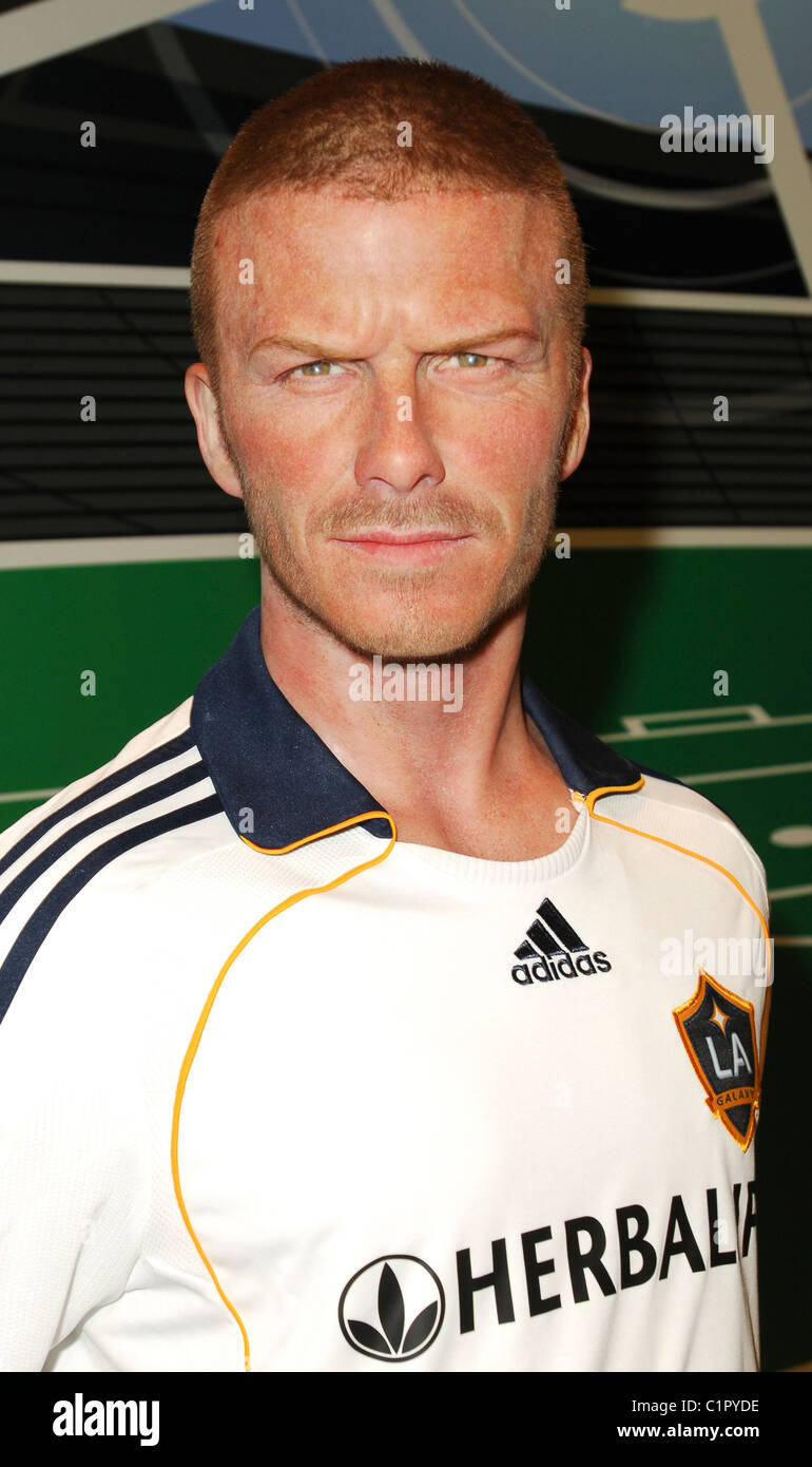 David Beckham wax work Launch of Los Angeles' biggest new attraction ...