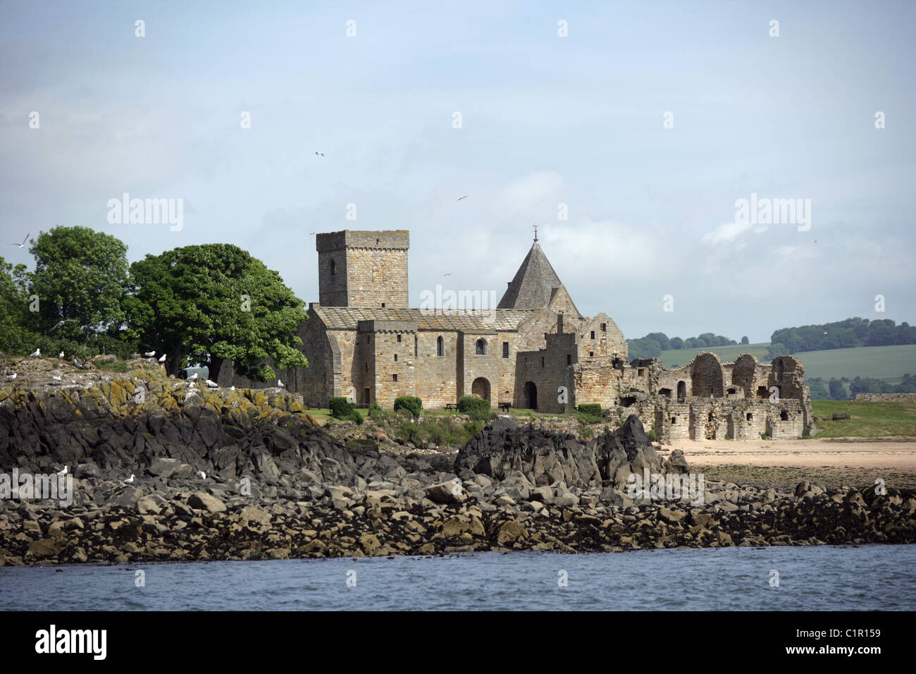 Inchcolm Abbey from the maid of the Forth Stock Photo - Alamy