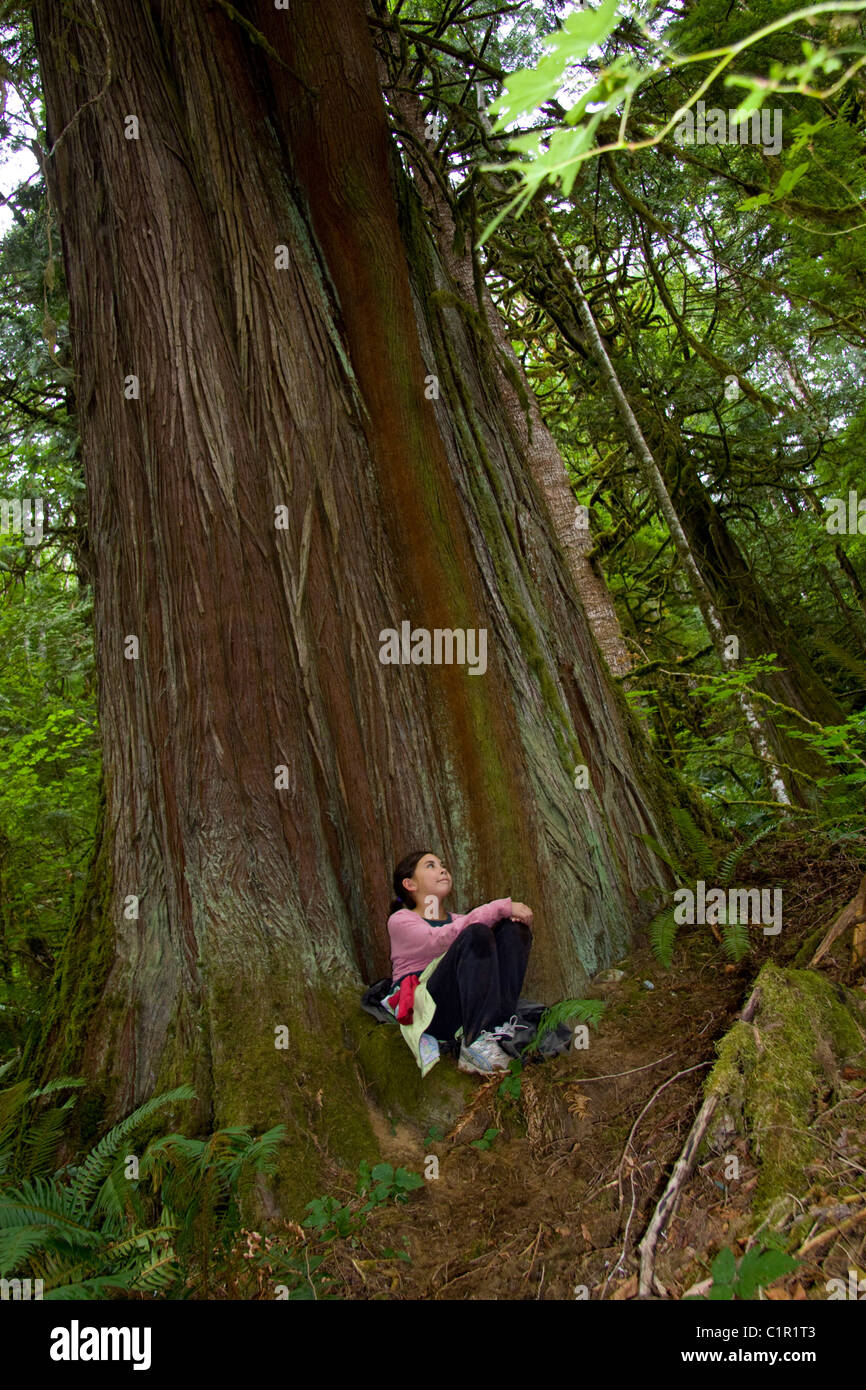 Young girl, 11, in contemplative pose at base of an old growth red ...