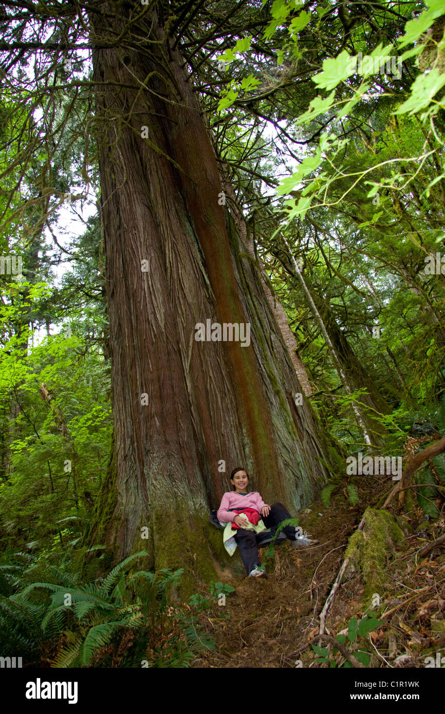 Young girl, 11, sits at the base of an old growth red cedar tree ...