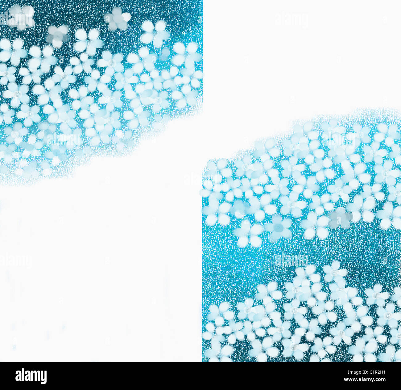 brochure design with flower blossoms Stock Photo - Alamy