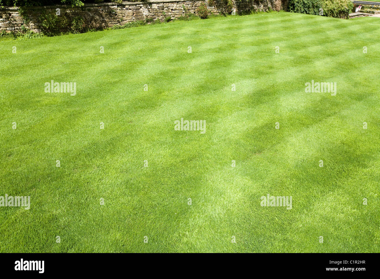 Stripy lawn with long cross cut striped grass in garden / gardens ...