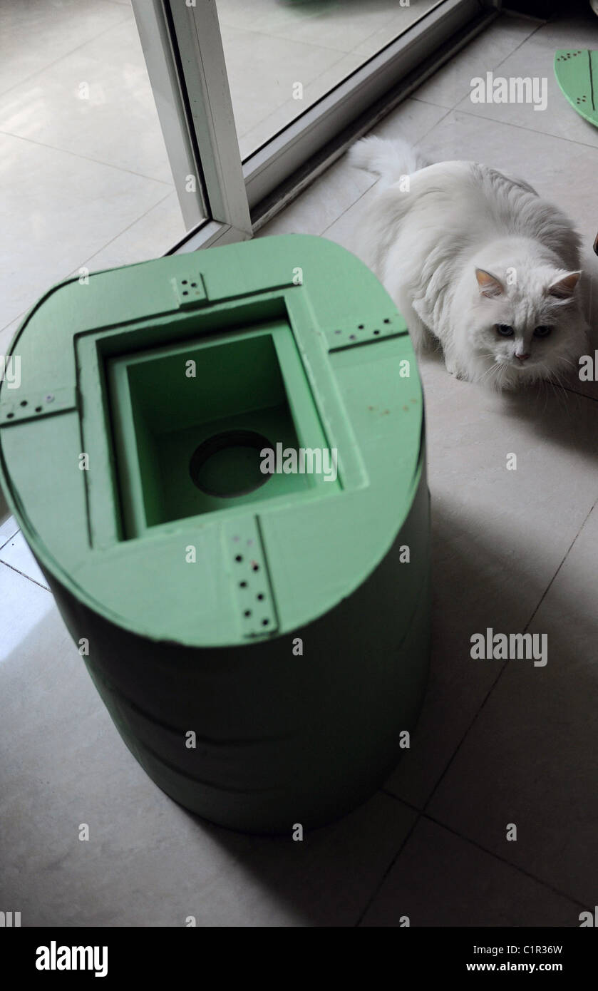 Cat loo A Chinese man has trained his cat to use a human toilet. The ...