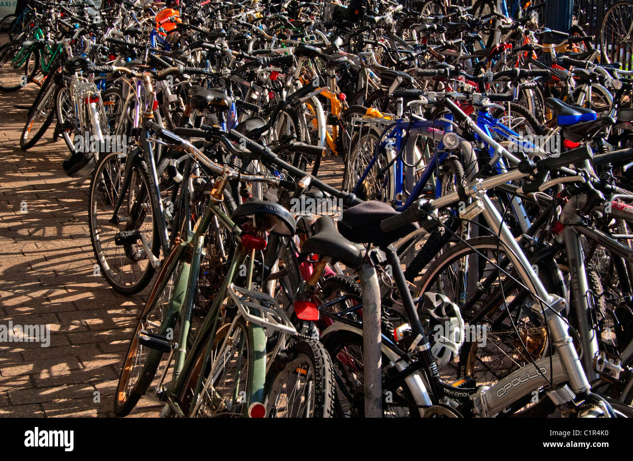Lots of bicycles outside Brighton Rail staion Stock Photo - Alamy