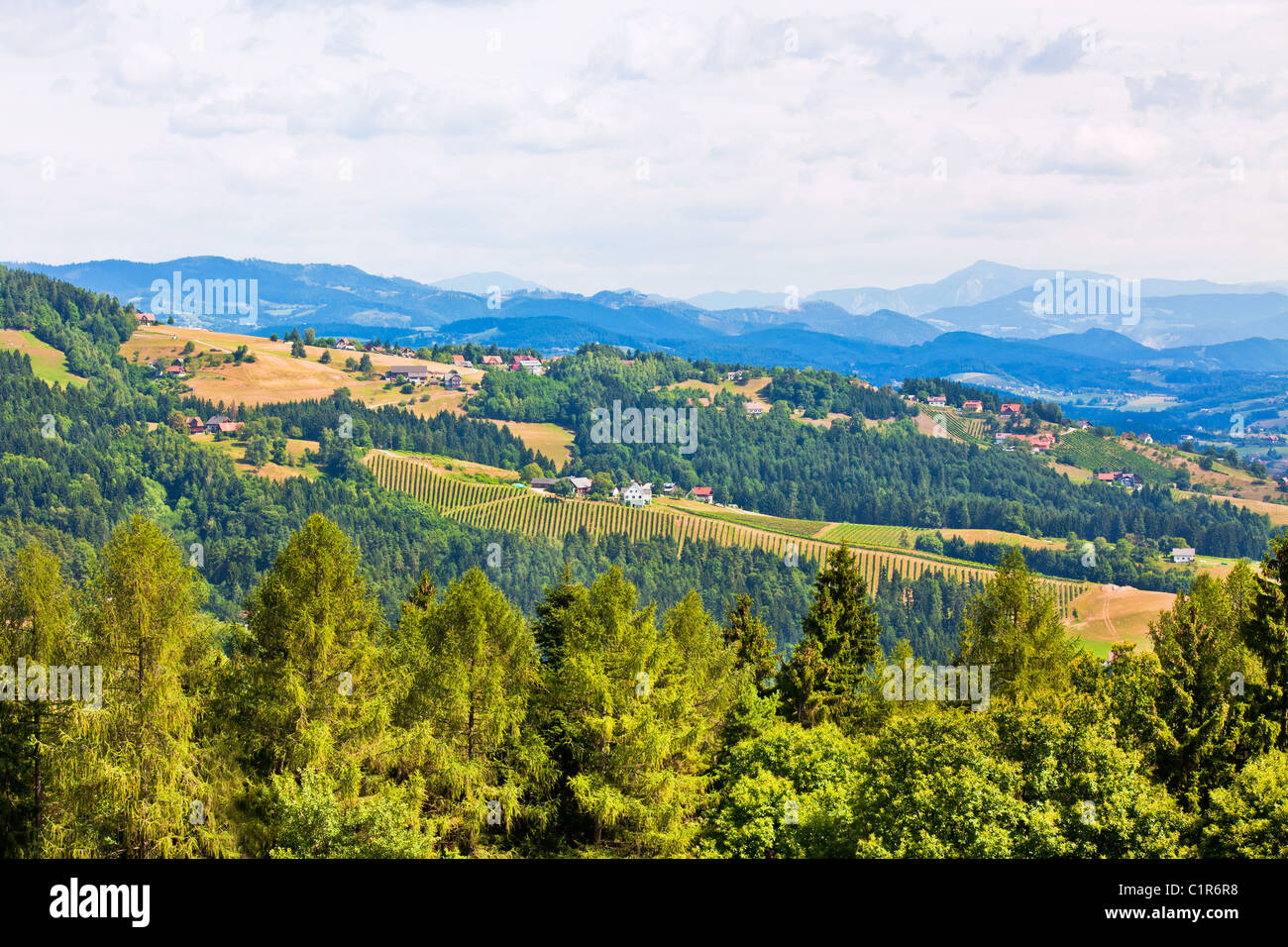 Summer Alps Landscape: Forest, Village and Mountains Stock Photo - Alamy