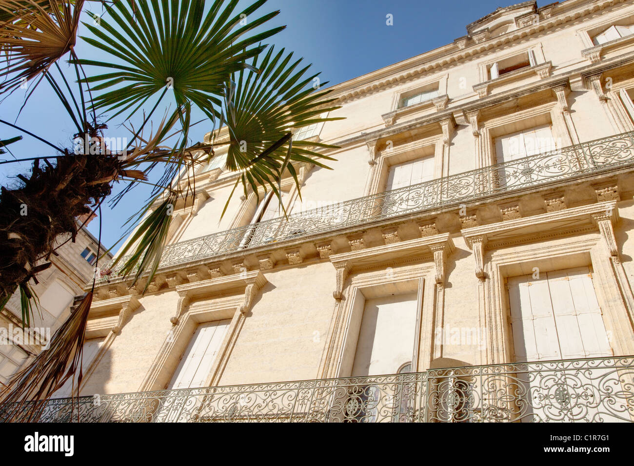 Ornate classical detail hi-res stock photography and images - Alamy