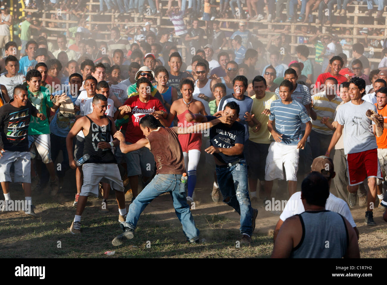 The crowd watches as two men fight at a bull riding event, Liberia ...