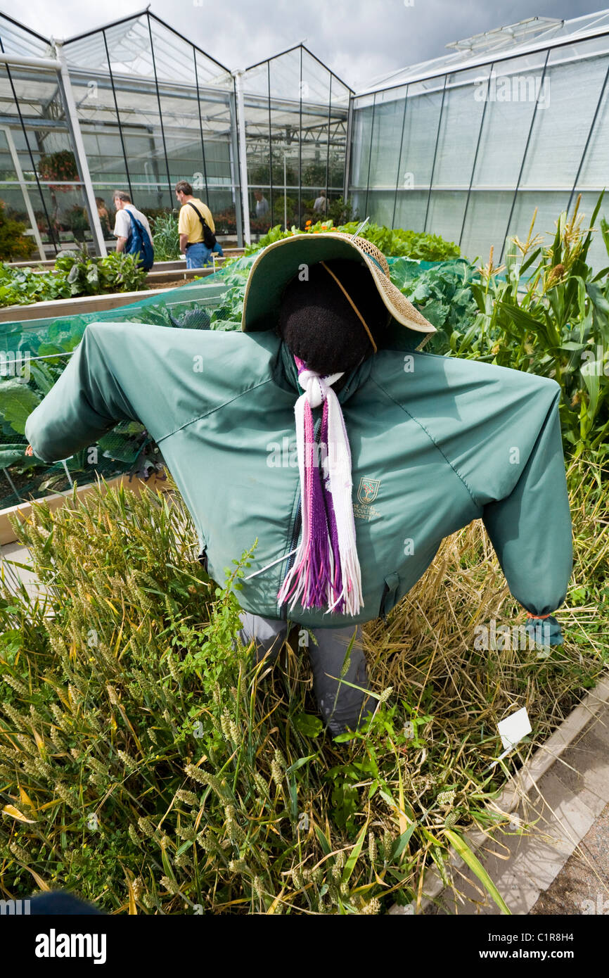 Scarecrow / scare crow in vegetable garden. RHS Wisley. Surrey. UK ...
