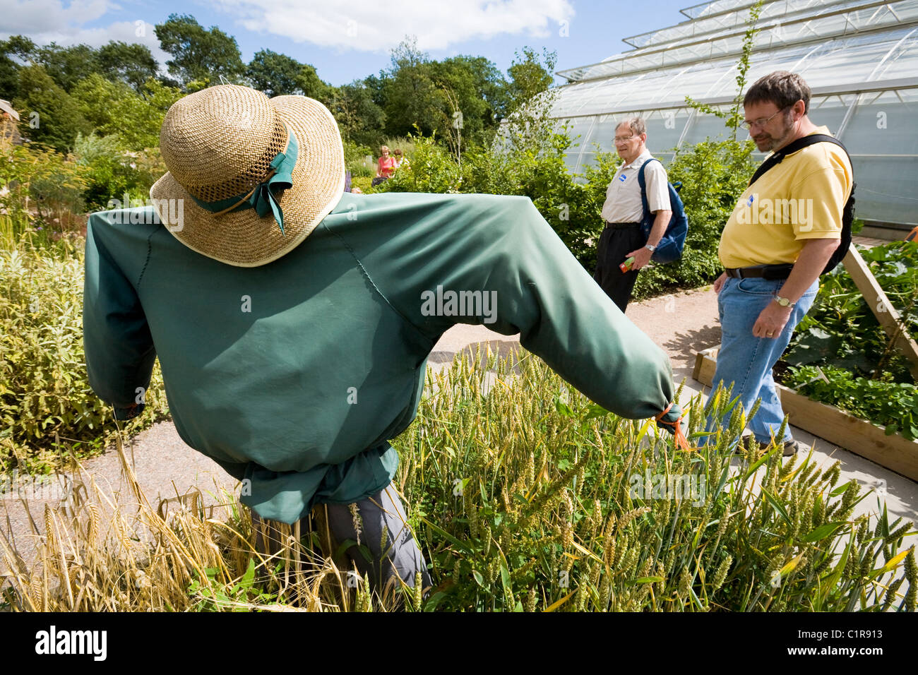 Protect vegetable crop from pests hi-res stock photography and images ...