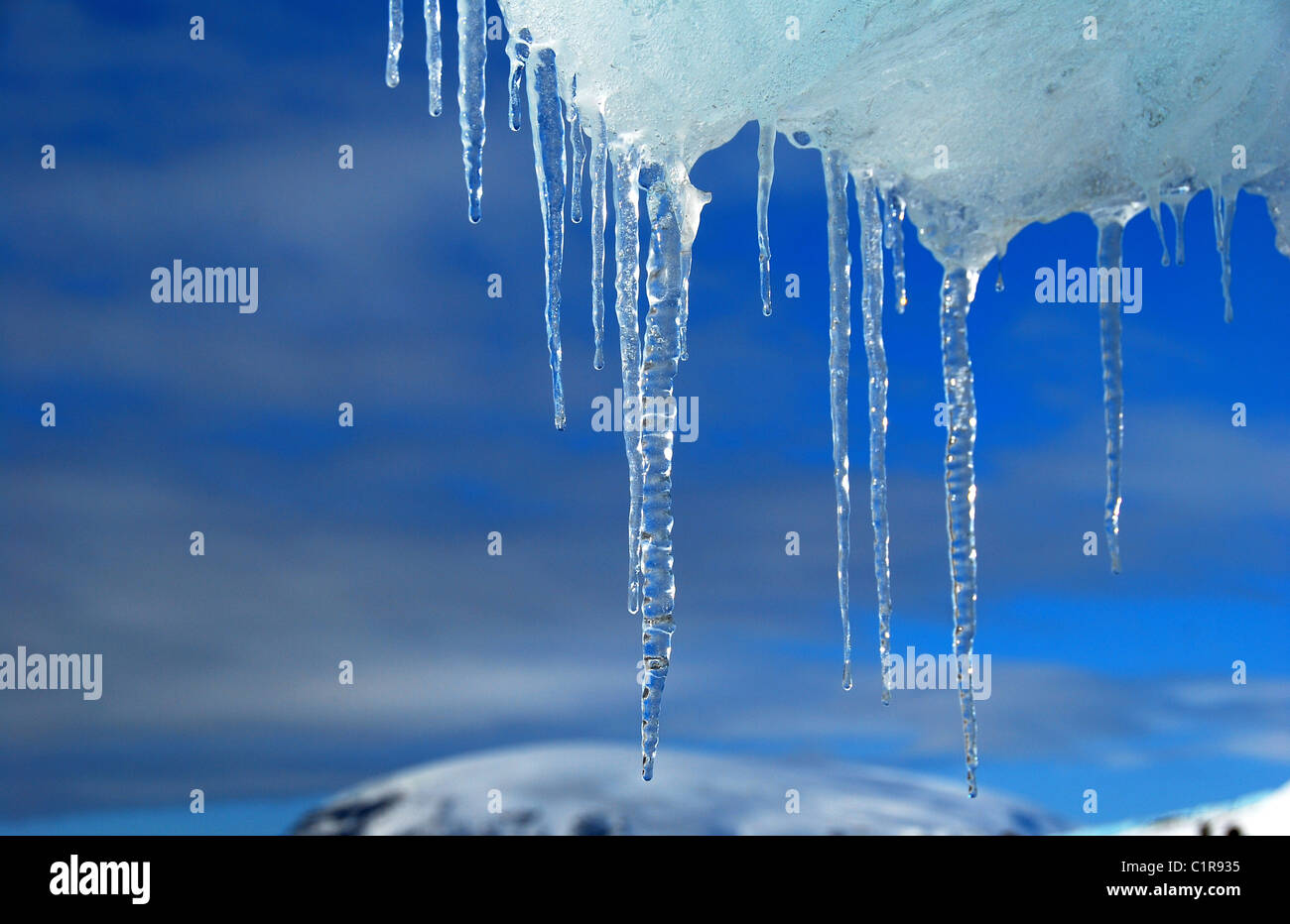 frozen ice in antarctica, blue sky Stock Photo - Alamy