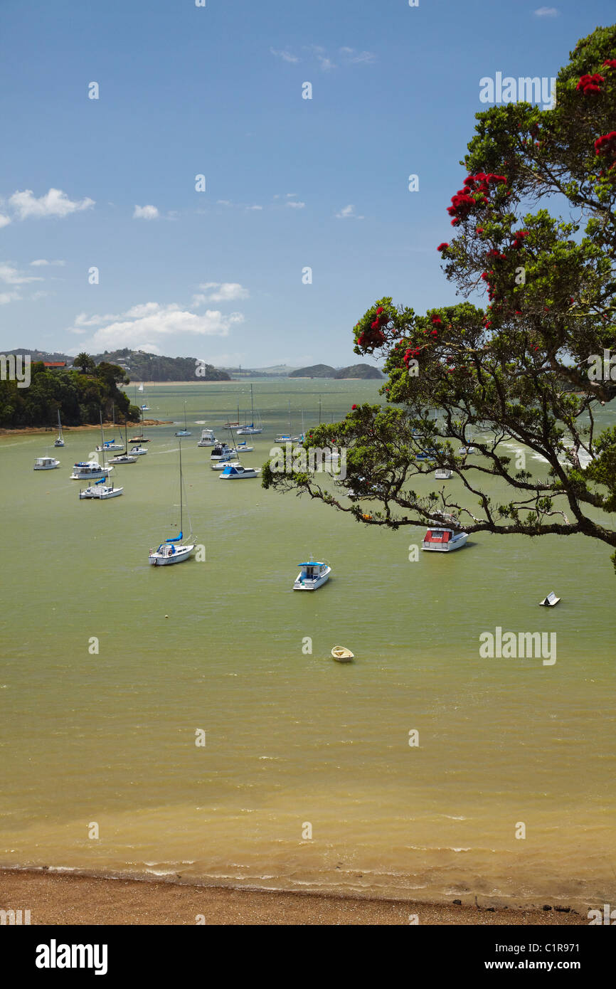 Opua bay islands new zealand hi-res stock photography and images - Alamy