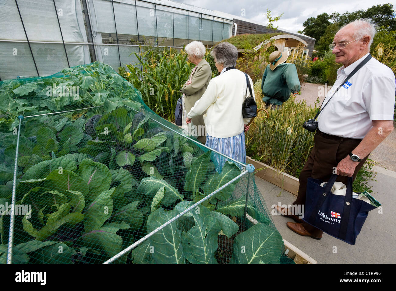 People / person / visitor / visitors / tourist / tourists in vegetable ...