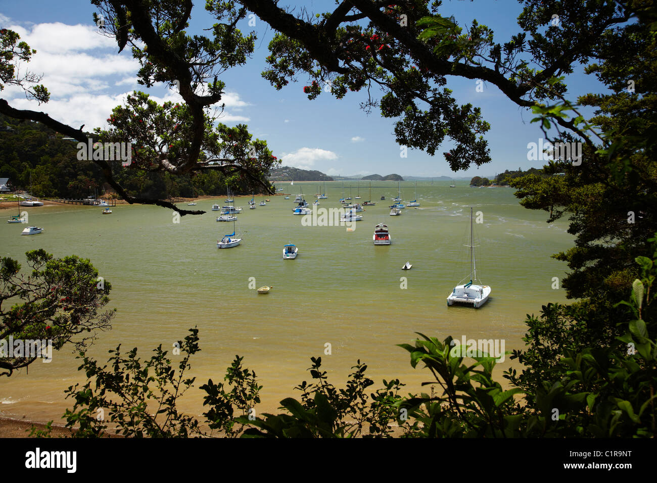 Opua High Resolution Stock Photography and Images - Alamy