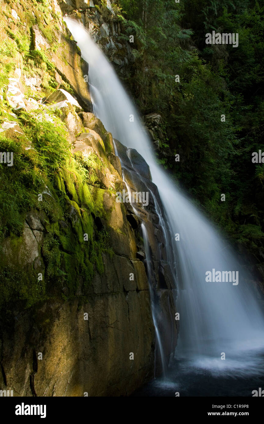 Magic light on beautiful little waterfall in the forest along Harrison ...