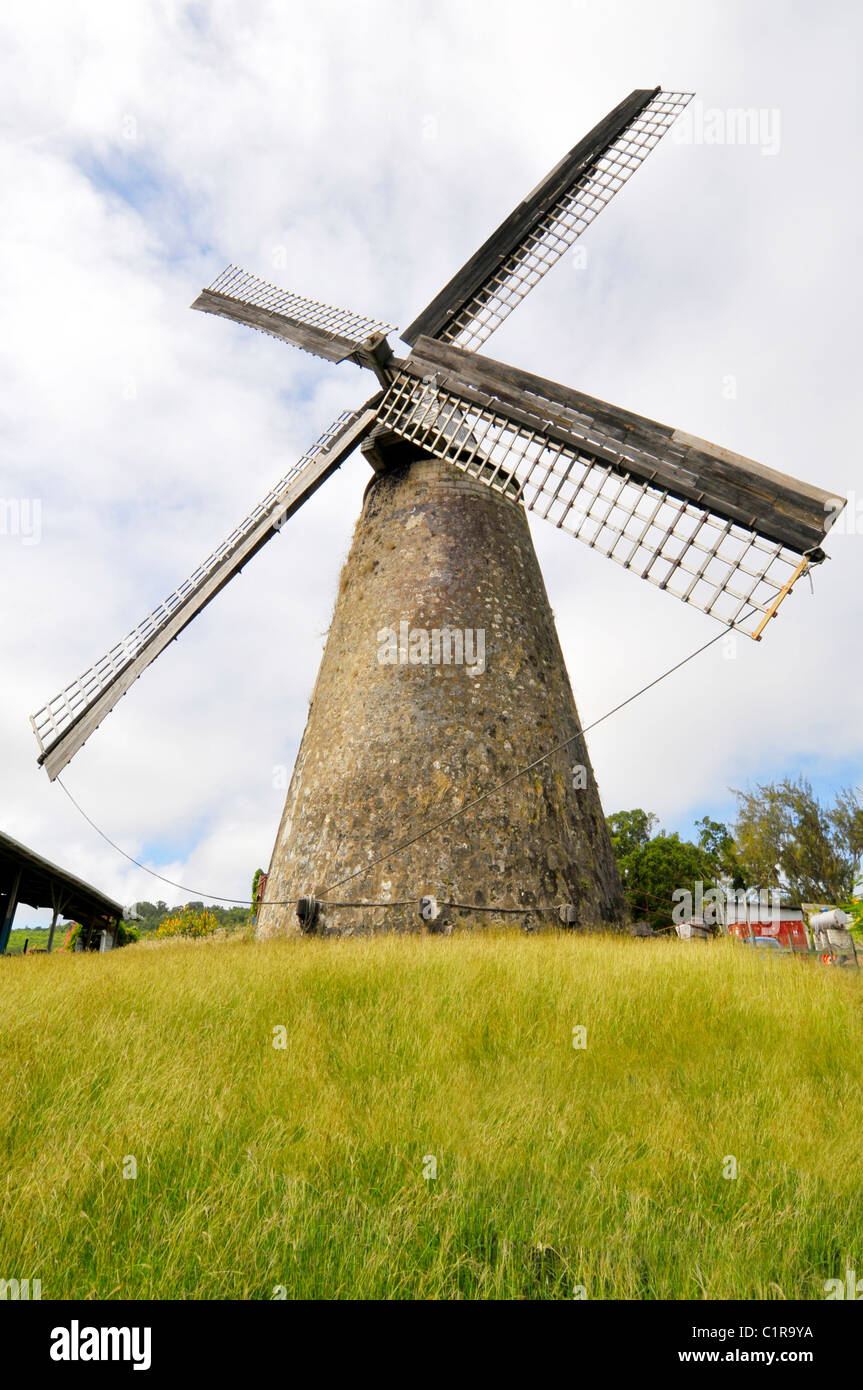 Morgan Lewis Sugar Mill Bridgetown Barbados Caribbean Cruise NCL Stock ...