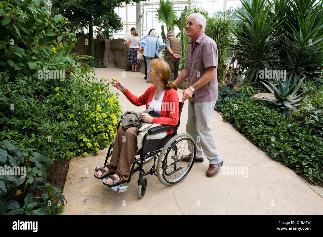 People / person / visitor / visitors / tourist / tourists in The ...