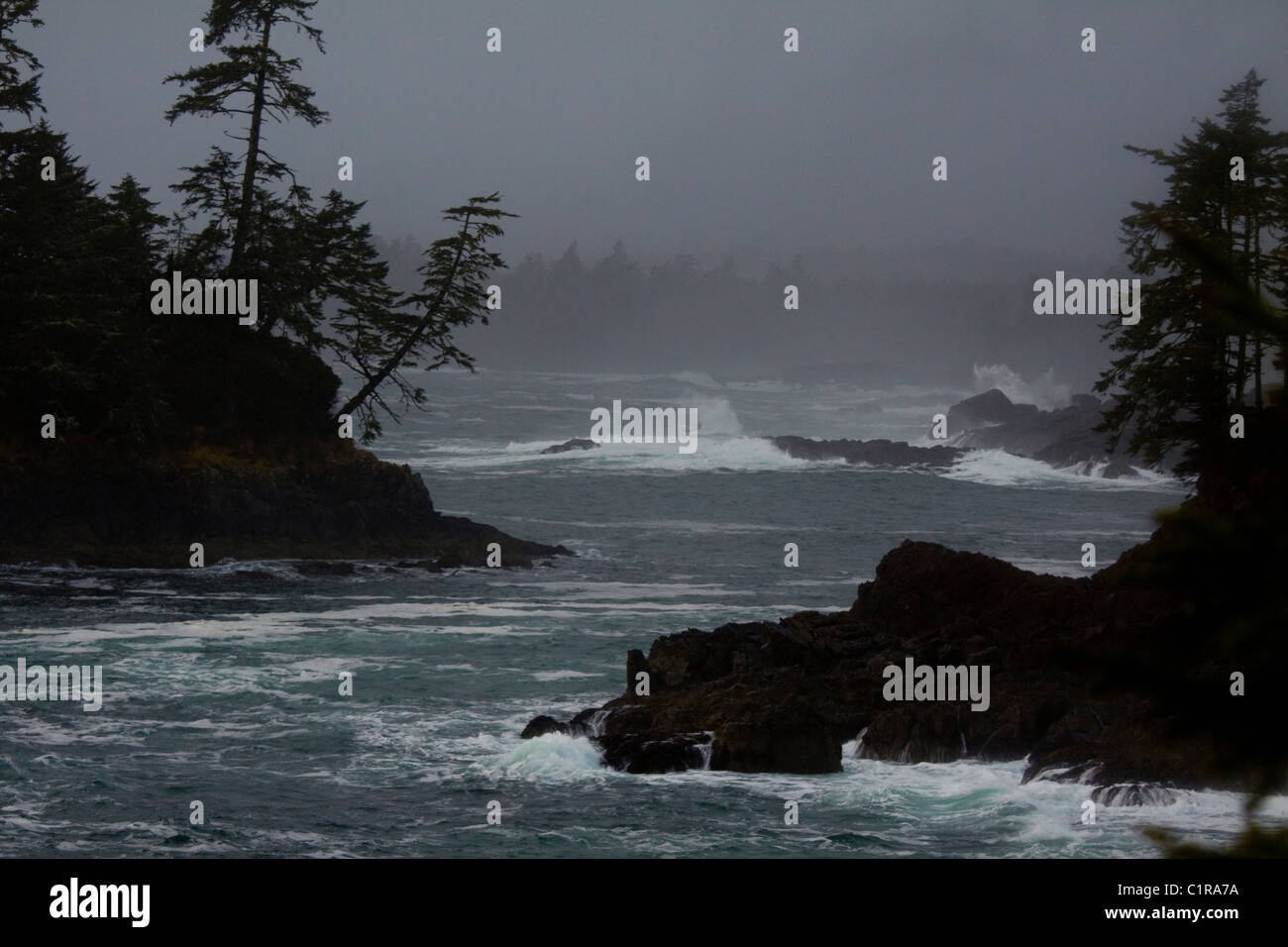 Stormy weather along the Wild Pacific Trail, Ucluelet, Vancouver Island ...
