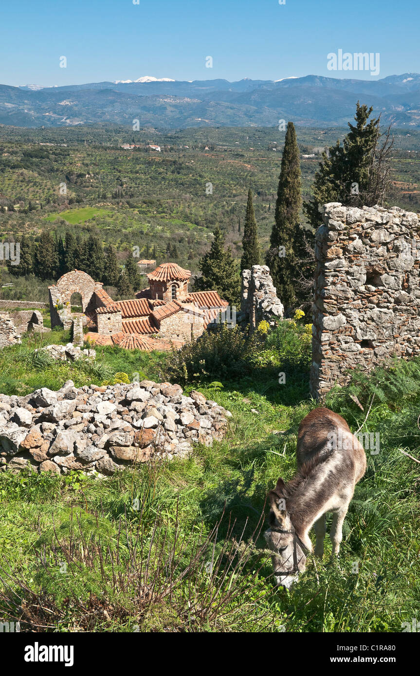The hill of Mystra in the Spring, with its Byzantine ruins, looking ...