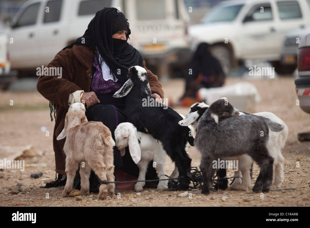 Selling sheep hi-res stock photography and images - Alamy