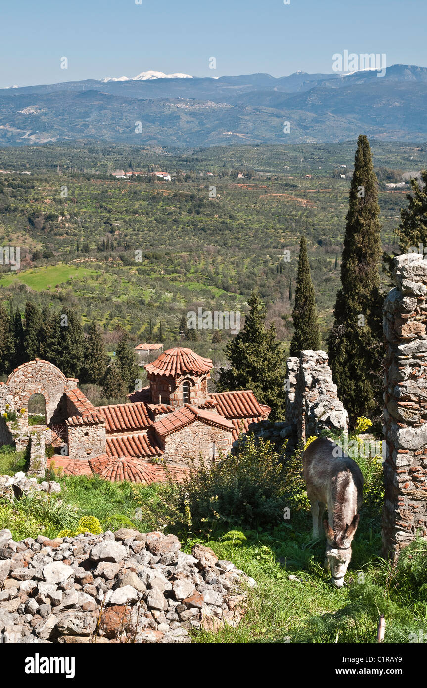 The hill of Mystra with its Byzantine ruins, looking towards mount ...