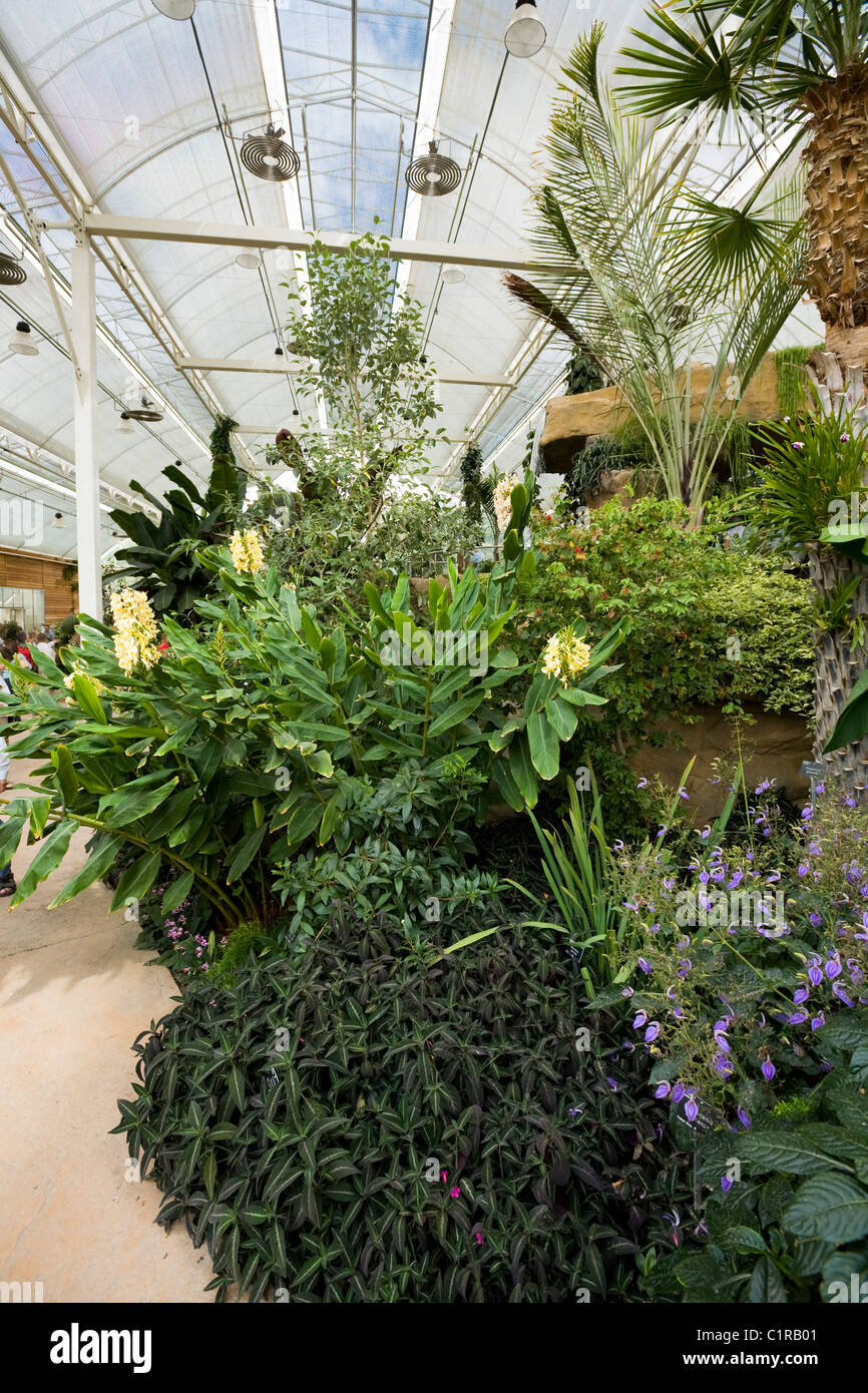 Rhs headquarters hi-res stock photography and images - Alamy