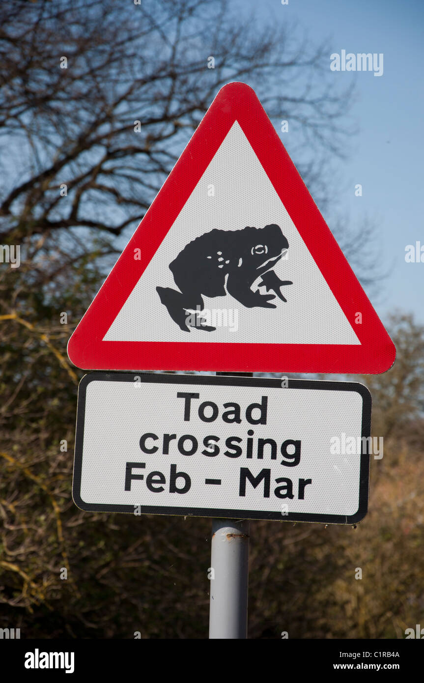Toad crossing sign hi-res stock photography and images - Alamy