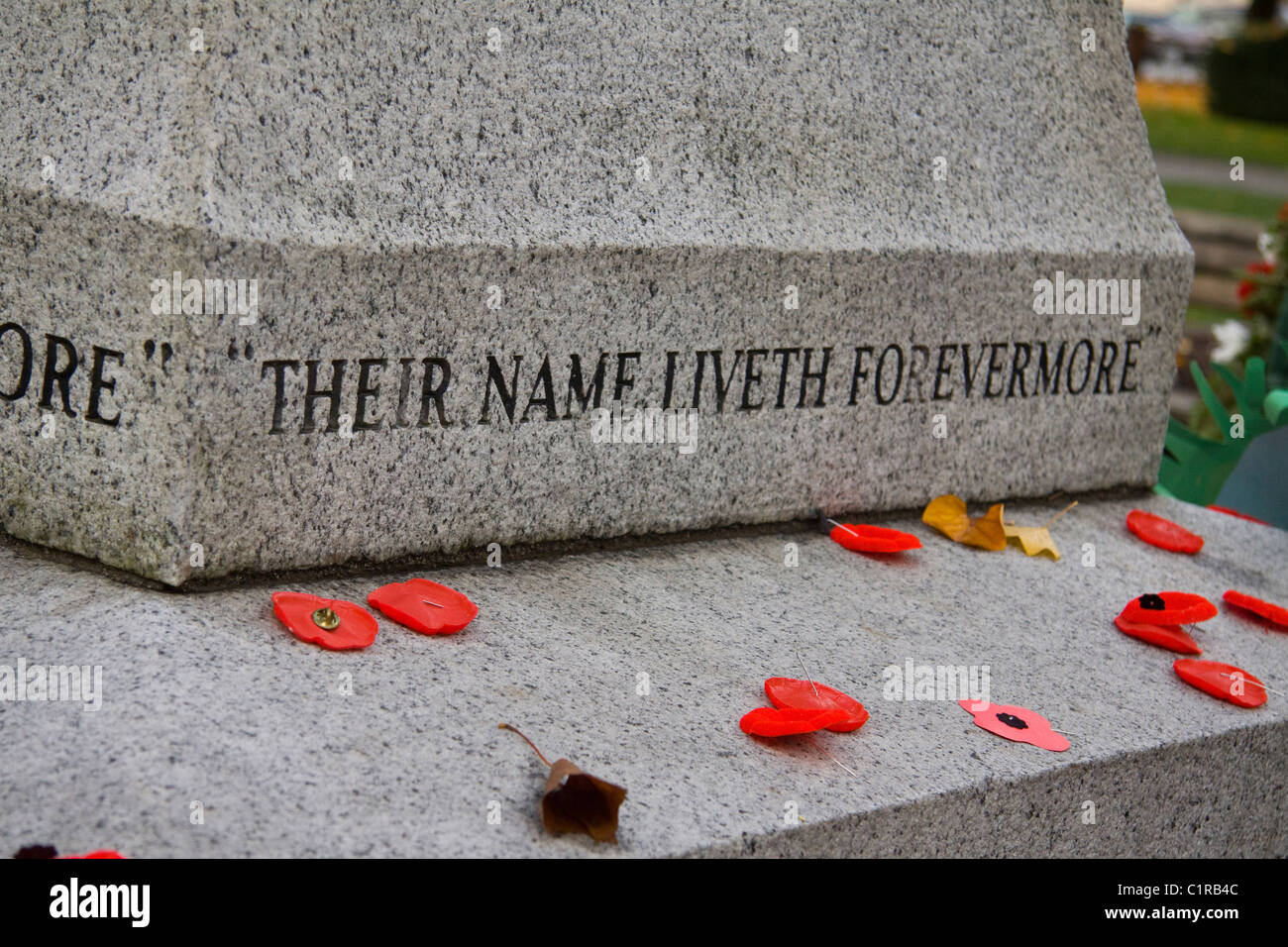 Cenotaph with red poppies on Remembrance Day. Words - Their name ...