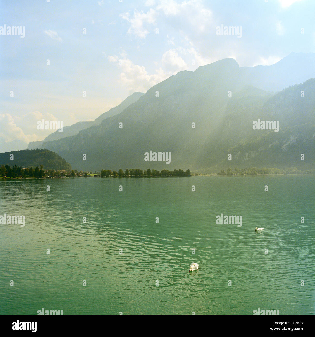 Lake brienze hi-res stock photography and images - Alamy