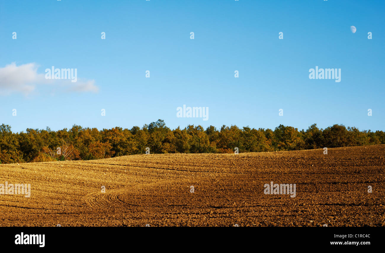 Empty rural landscape with plowed land and line of autumnal trees in ...