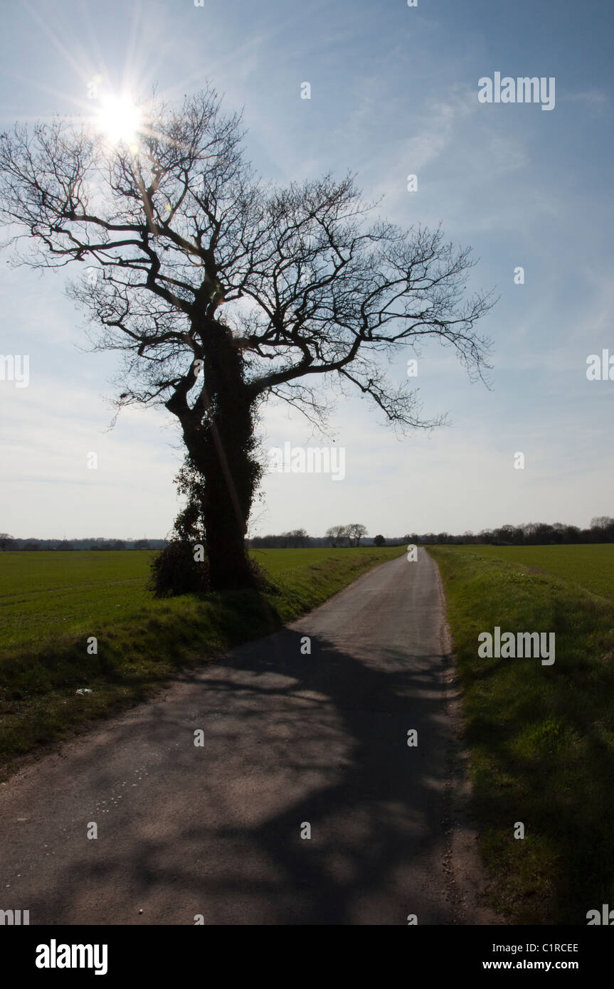 empty country lane Stock Photo - Alamy